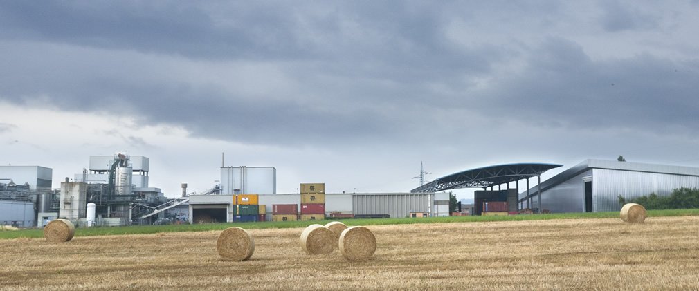 Processed animal proteins - fish meal - fats and oils - used edible ...